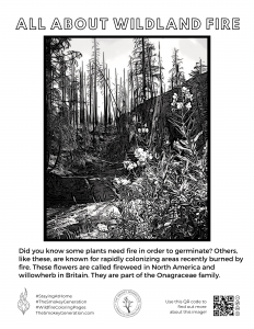 Wildland Fire Coloring Sheets