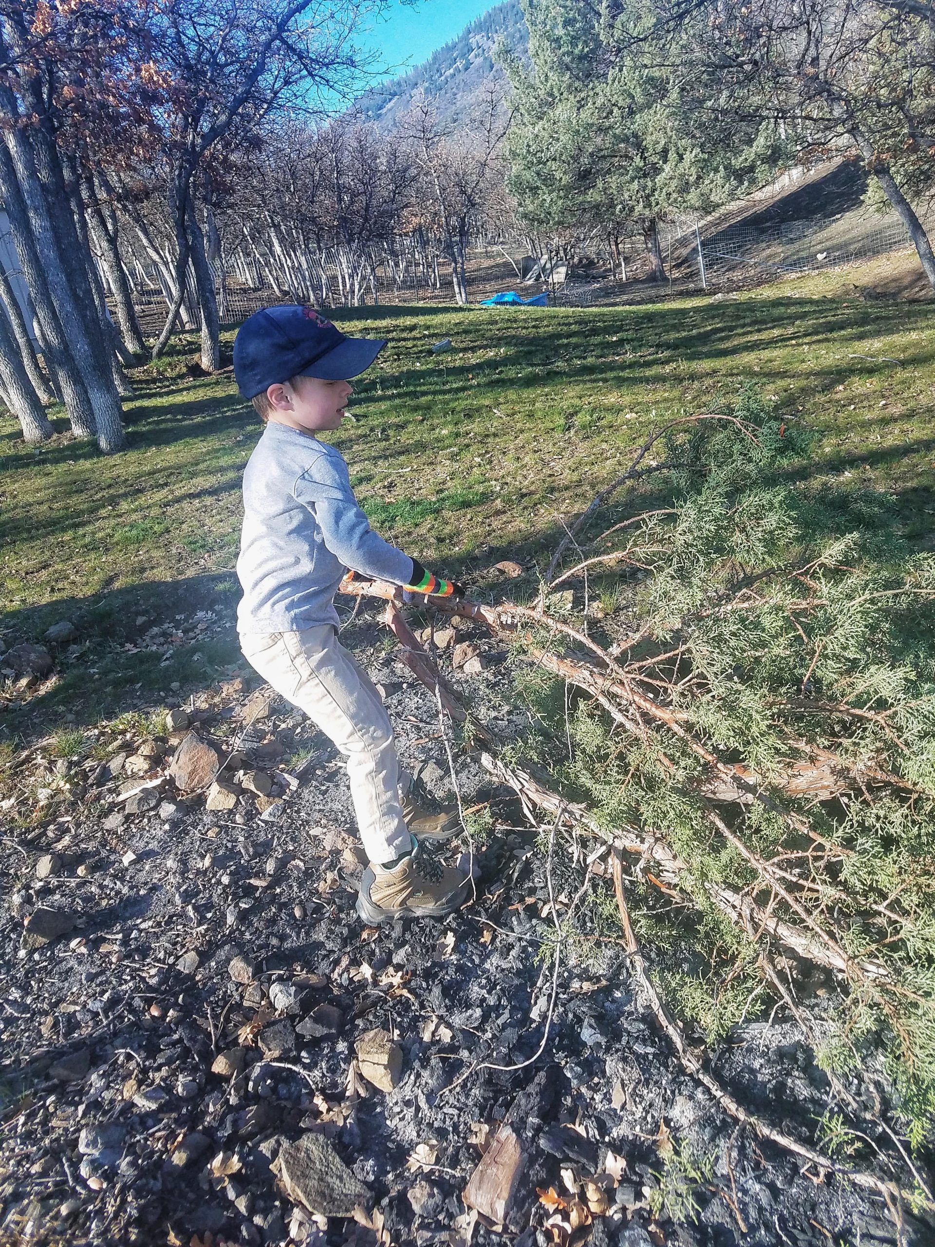 Coloring Sheet: Defensible Space